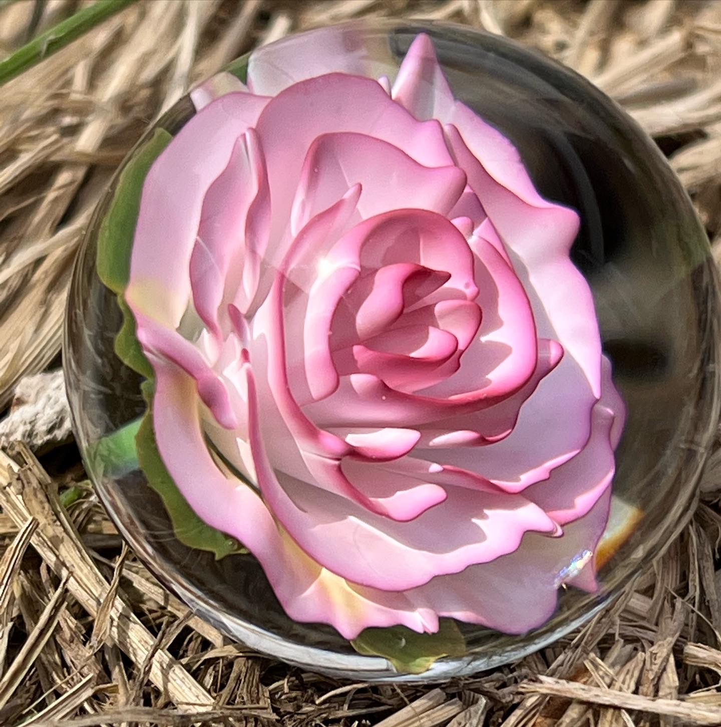 Flower Marbles | Borosilicate Glass Flower Marbles